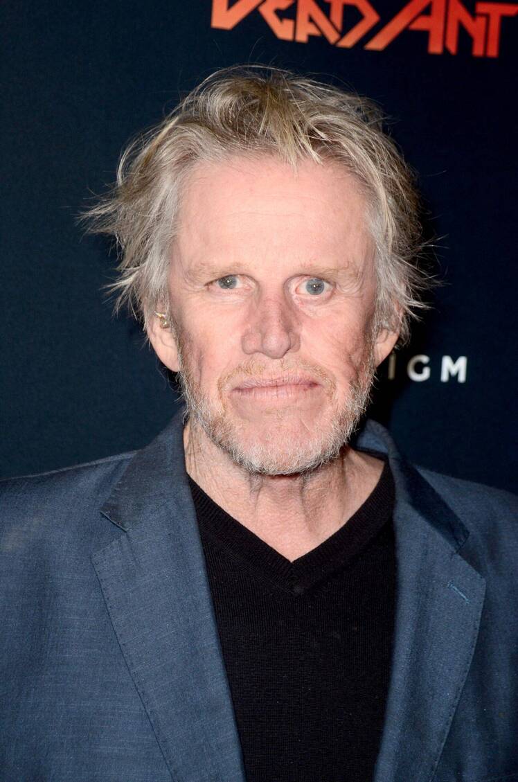 Gary Busey Sentenced to Two Years of Probation After Pleading Guilty to ...